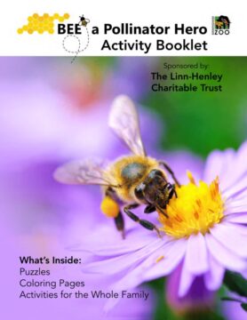 Bee A Pollinator Hero | Birmingham Zoo Birmingham Zoo