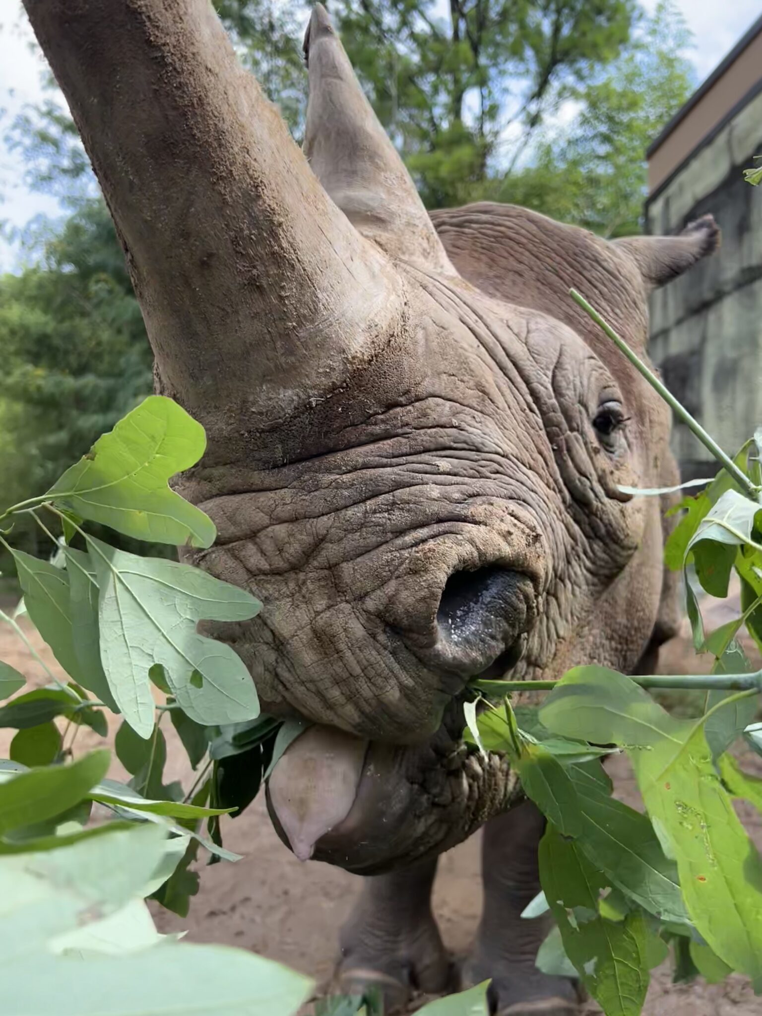 Party for the Planet: Endangered Species Day at the Birmingham Zoo ...