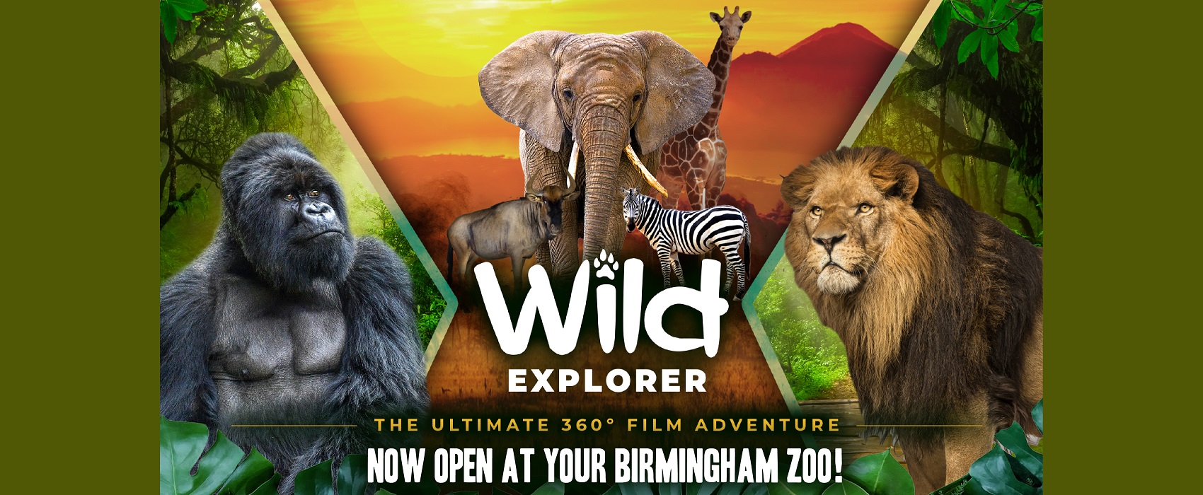 Virtual Reality Experience | Birmingham Zoo Birmingham Zoo