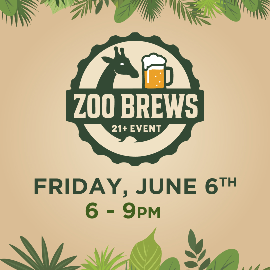 Zoo Brews | Birmingham Zoo