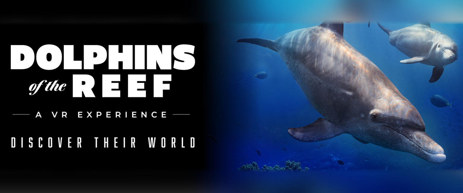 NEW VIRTURAL REALITY FILM FEATURES DOLPHINS | Birmingham Zoo