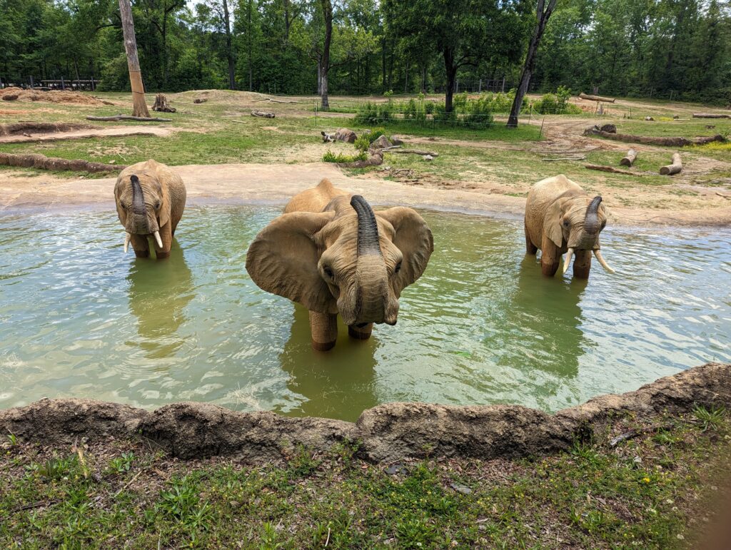 Behind-the-Scenes Encounters & Experiences | Birmingham Zoo