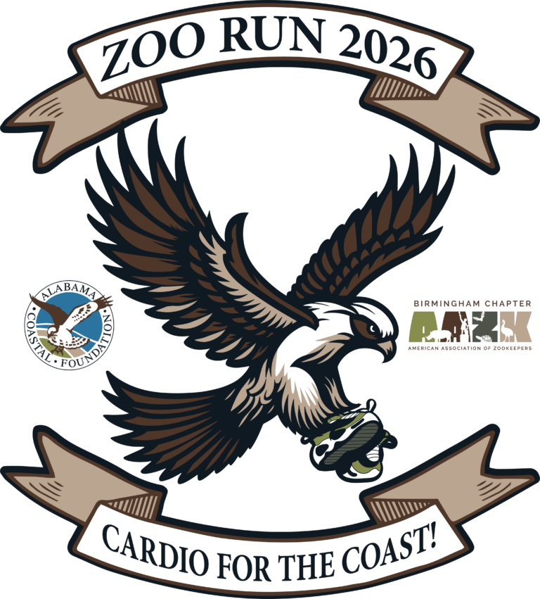 Zoo Run 2026 – Cardio for the Coast! 3K Fun Run | Birmingham Zoo